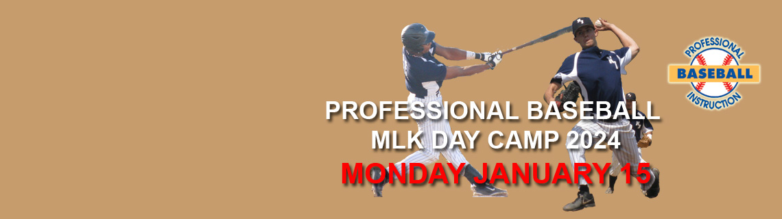 MLK Day Baseball Camp – Professional Baseball Instruction